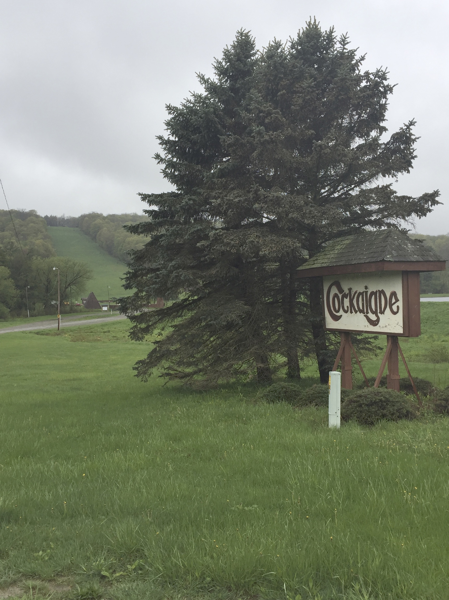 Cockaigne Ski Resort officially sold | News, Sports, Jobs - Observer Today